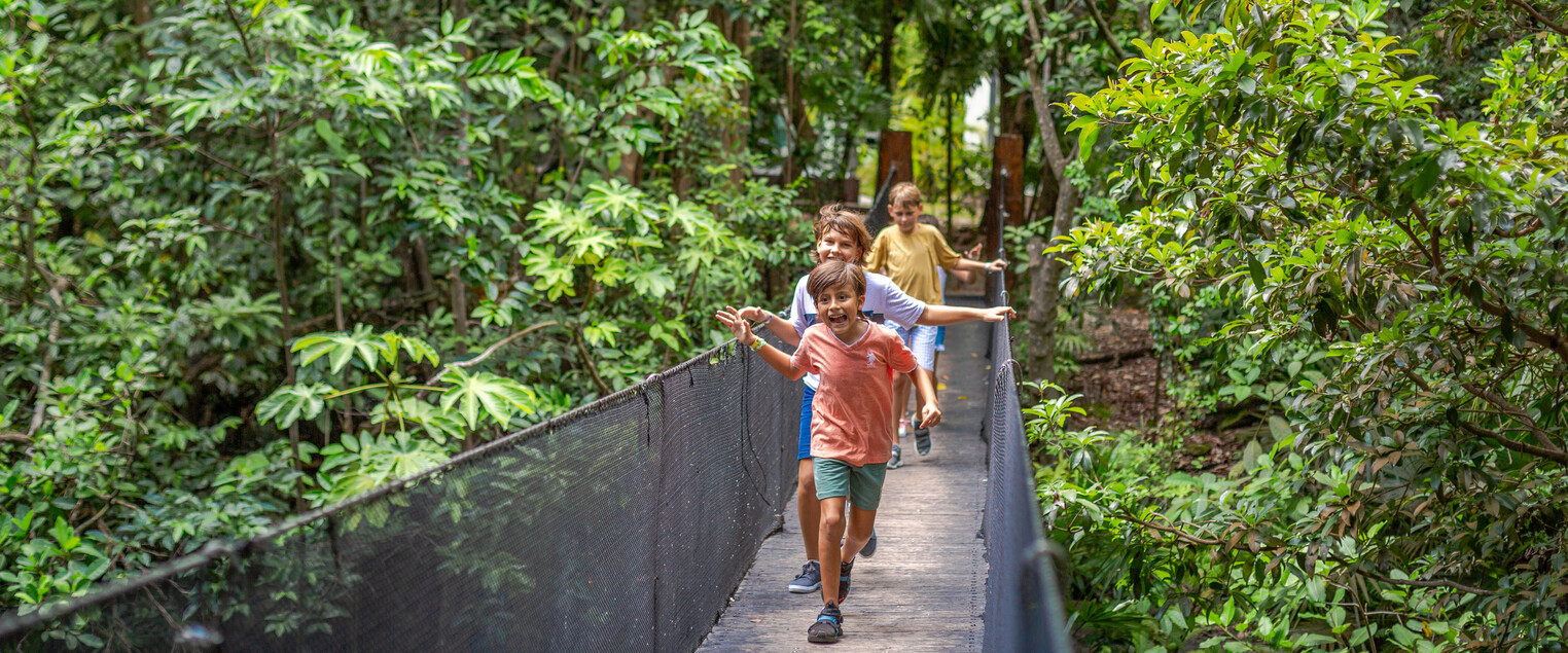 Sandos Caracol Eco Resort | Playa del Carmen Resorts