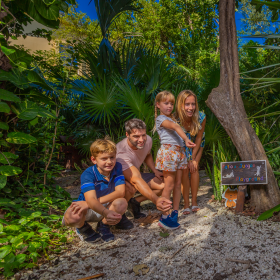 Sandos Playacar | Playa del Carmen Resorts All Inclusive