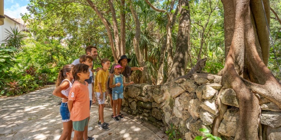 Sandos Caracol Eco Resort | Playa del Carmen Resorts