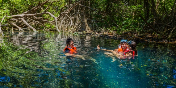 Sandos Caracol Eco Resort | Playa del Carmen Resorts