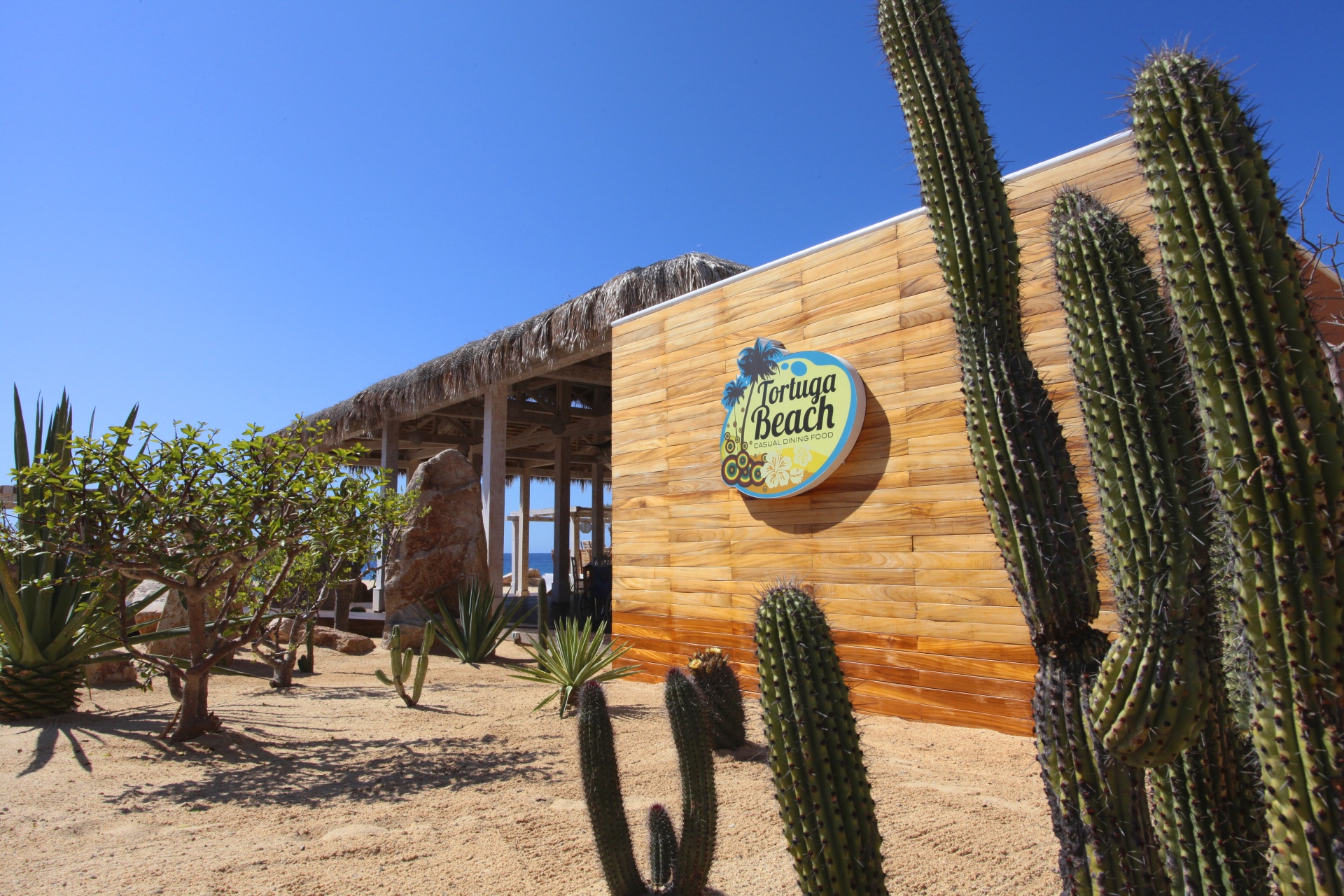 QR Restaurant Tortuga Sandos Finisterra | Sandos