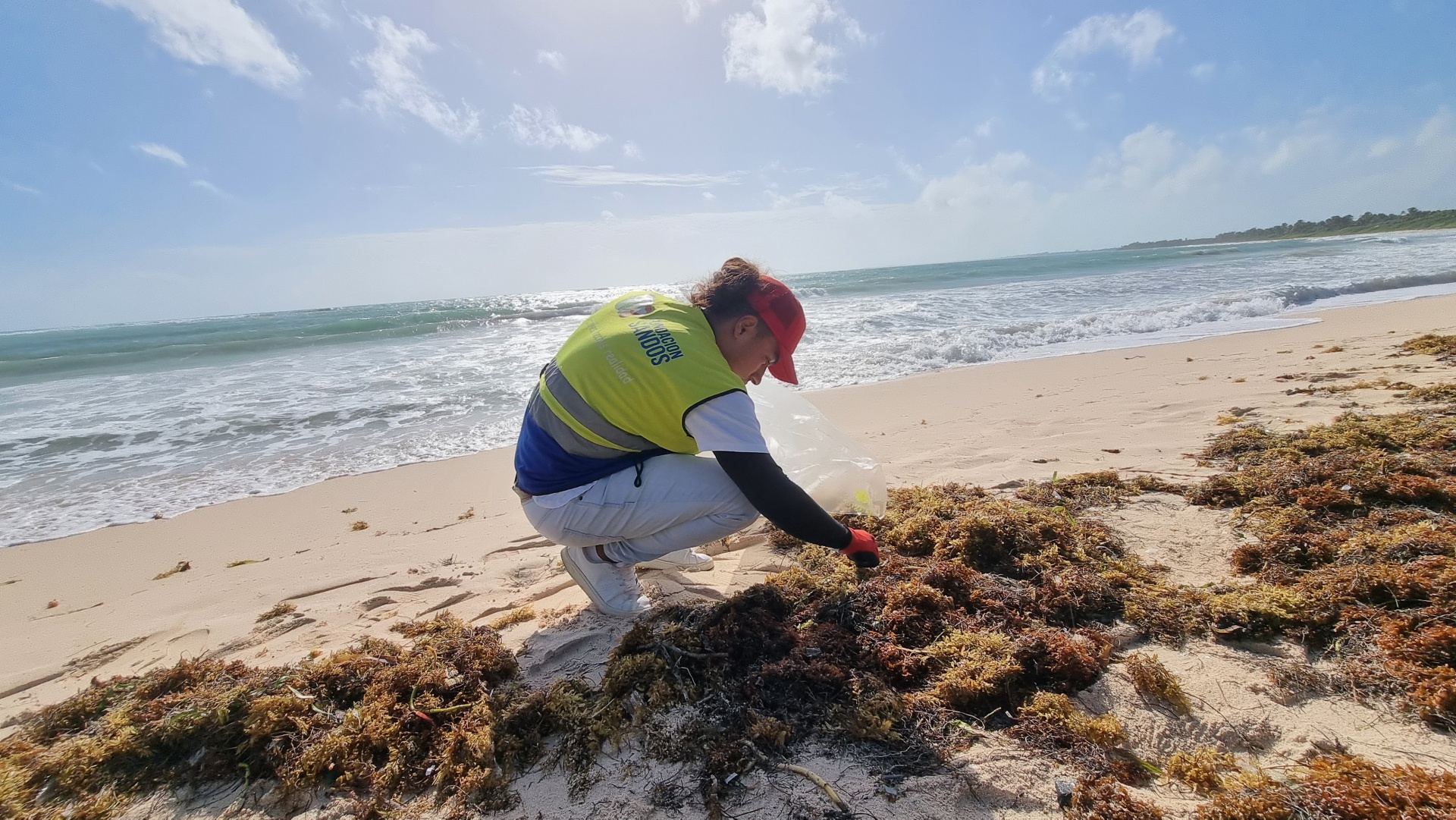 Por qué es importante cuidar la playa | Sandos